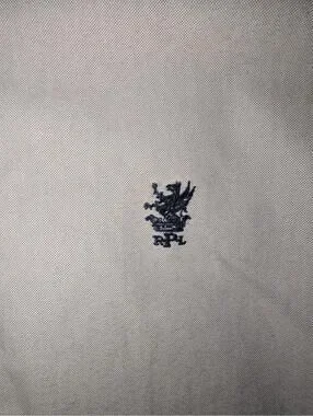 Ralph Lauren | Shirts | Polo Ralph Lauren Custom Fit Mens Blue Long ...